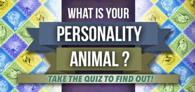 Personality Animal Profiles | The Center for Relationship Education